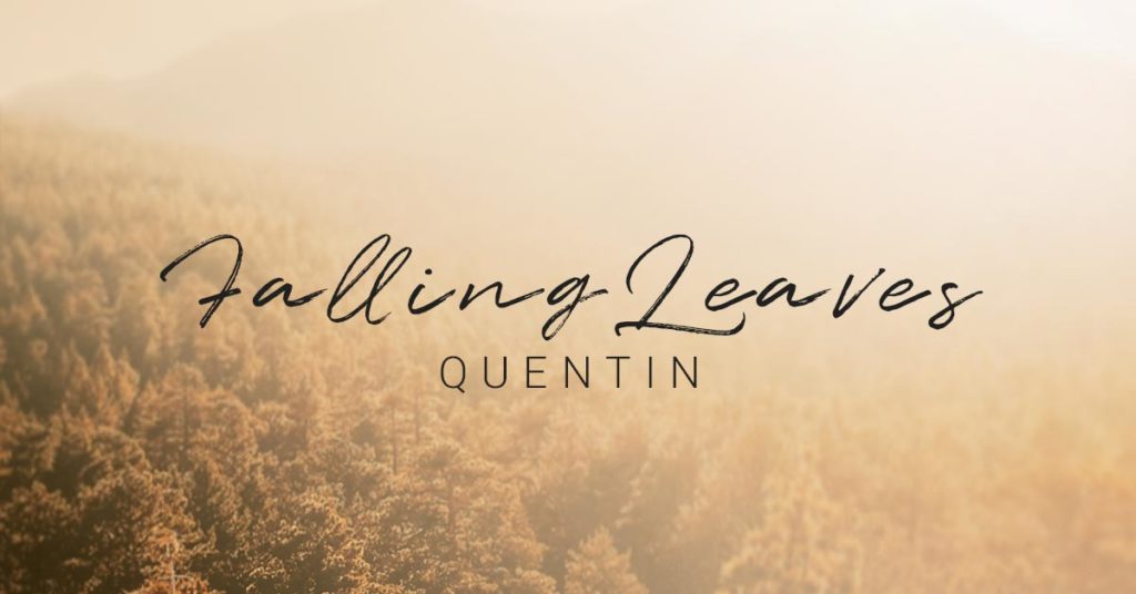 Best 9 Free Fall Fonts and Fonts for Autumn - SALT Community